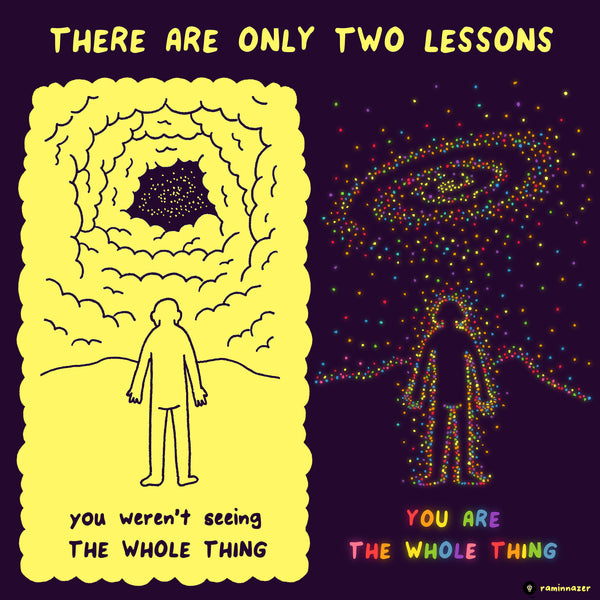 TWO LESSONS – Ramin Nazer